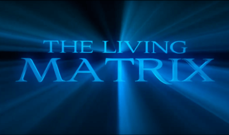 The Living Matrix – The Scientific Basis for Energy Fields and Healing ...